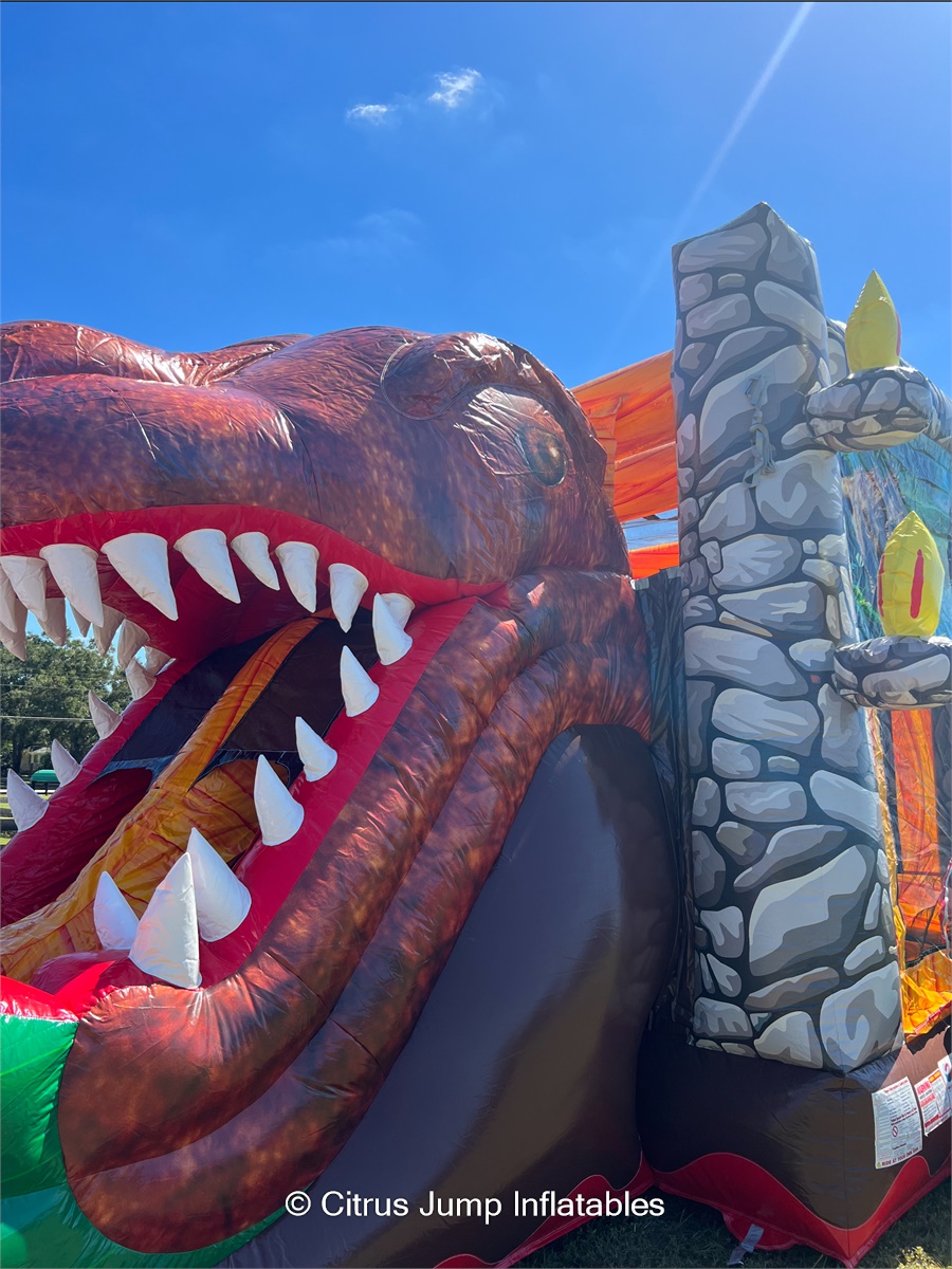 Dinosaur Combo (DRY) - Party rental service in Florida, Citrus county ...